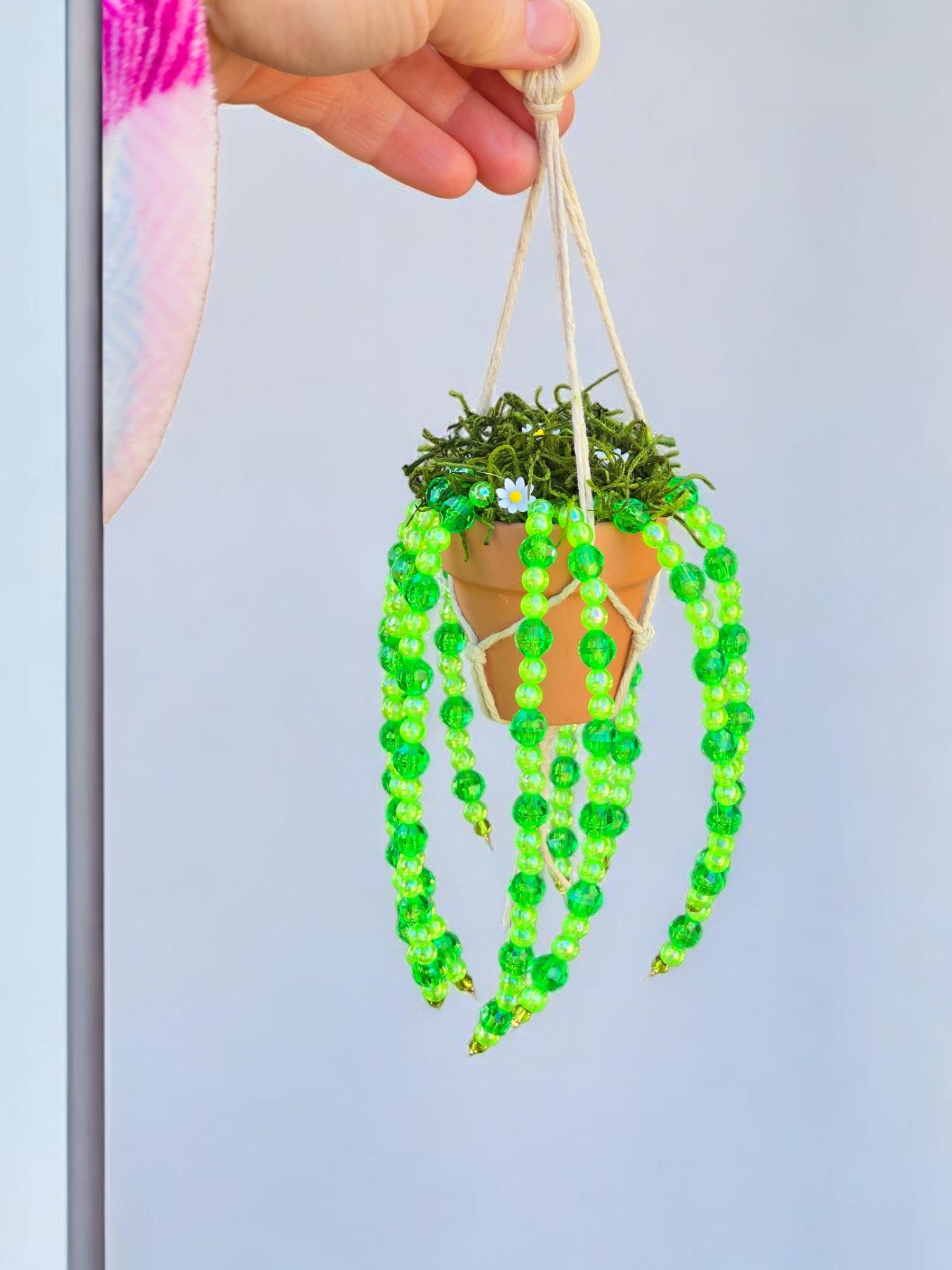 String of Pearls Succulent With Macrame Holder Mini Beaded Forever ...