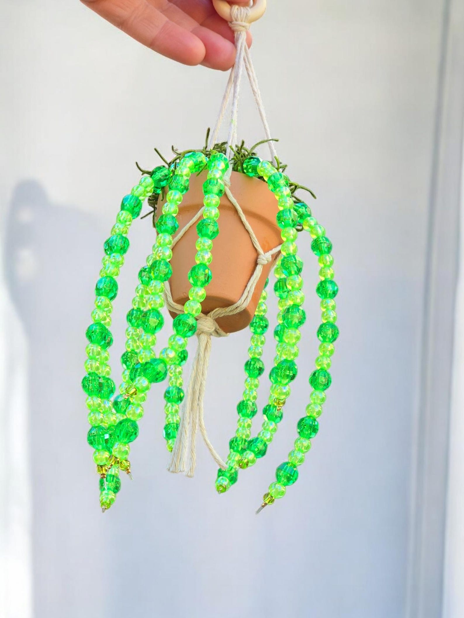 String of Pearls Succulent With Macrame Holder Mini Beaded Forever ...