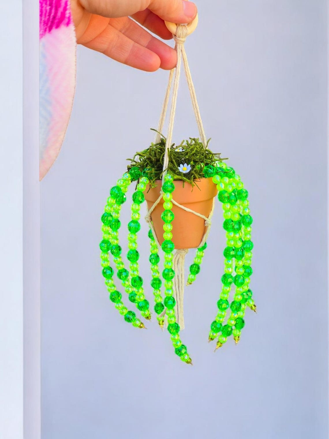 String of Pearls Succulent With Macrame Holder Mini Beaded Forever ...