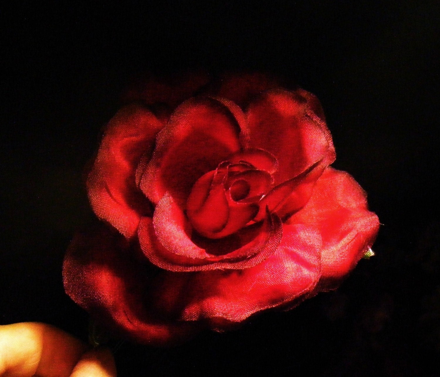 The Red and the Black Black and Red ROSE Customizable on - Etsy