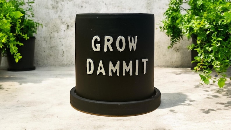 Novelty Plant Pot | Plant Pot | Quirky Gift | Funny Gifts | New Home ...