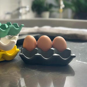 Egg Storage | Egg Rack | Kitchen Storage | Egg Tray | Egg Holder | Kitchen Decor | New Home Gift ...
