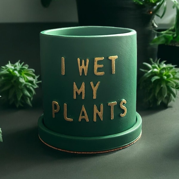 Quirky Pot for Plants - Etsy UK