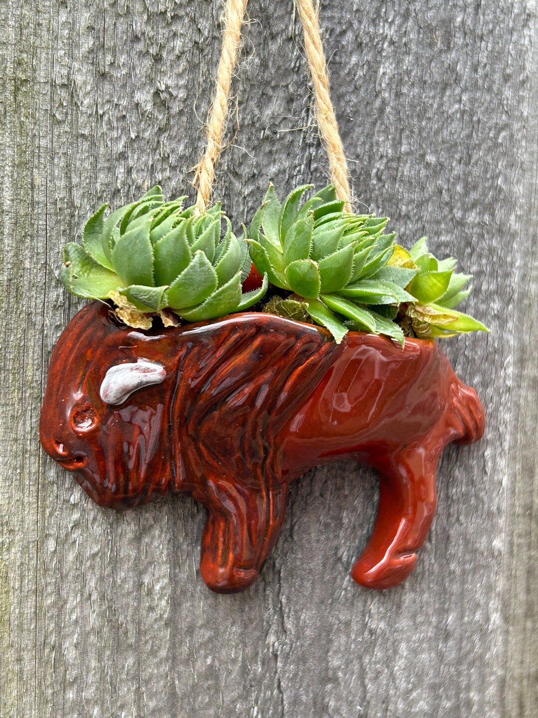 HANGING Planter:mini Buffalo Ceramic, Handmade and Hand Glazed, Perfect ...