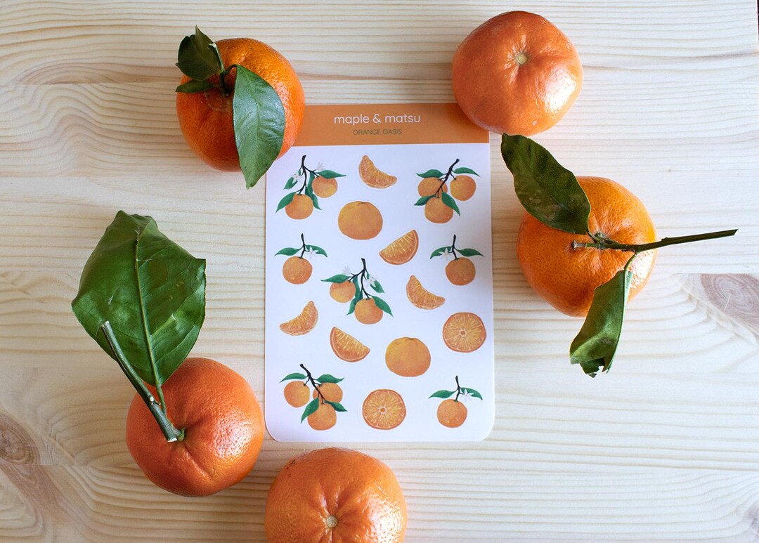 Orange Stickers for Planner Fruit Sticker Sheet for Decorating Food ...