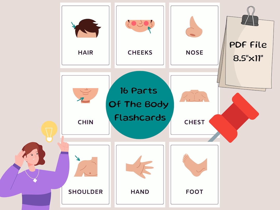 16 Parts of the Body Flashcards (parts of the Body Digital Paper ...