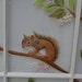 Painted Squirrel Window, Old Window Art, Squirrel Window Art - Etsy