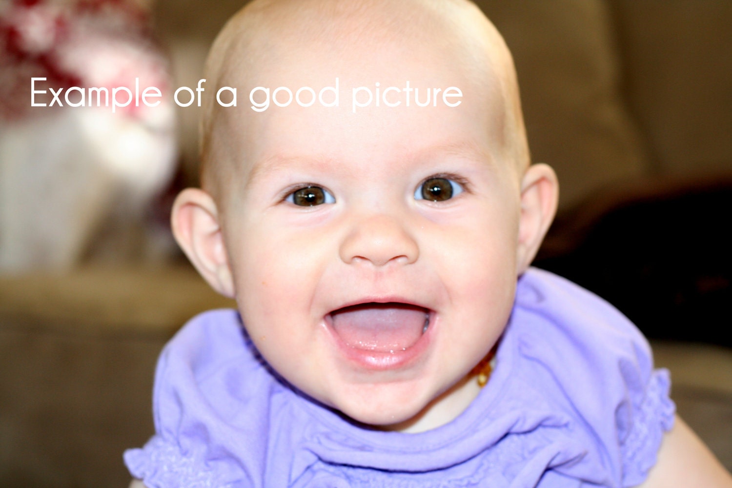 Scottie Harper's Instagram, Twitter & Facebook on IDCrawl