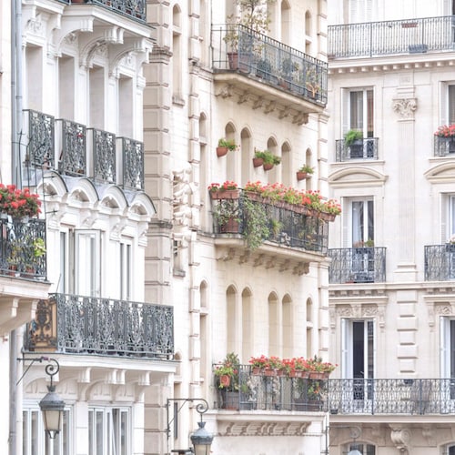 Paris Architecture Photograph Window Boxes and Lamp Posts - Etsy