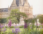 Items similar to Paris Photography, The Louvre, Flower Garden, French ...