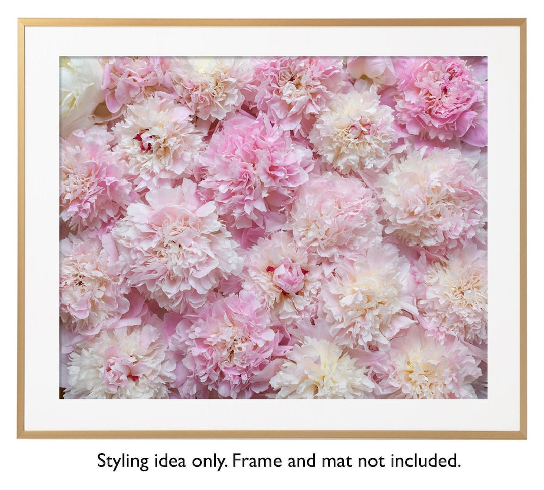 Paris Peony Photograph - Carpet of Peonies, Horizontal Large Wall Art ...