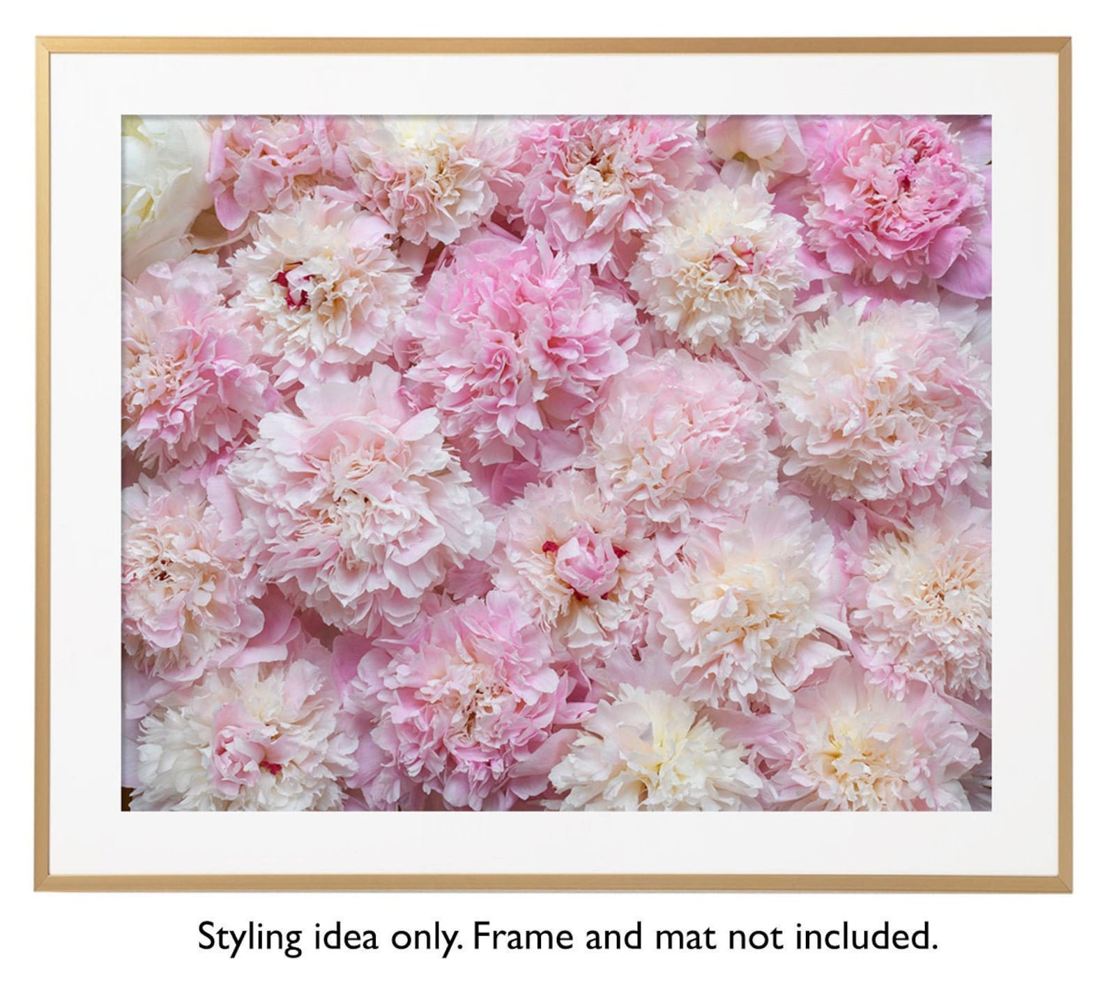 Paris Peony Photograph Carpet of Peonies Horizontal Large | Etsy