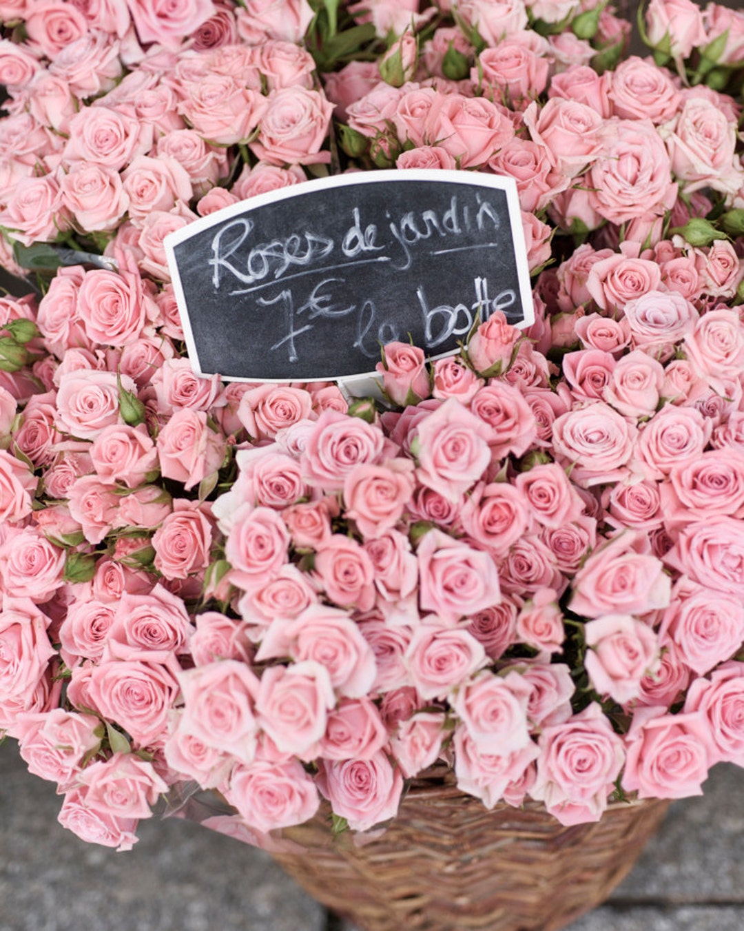 Paris Photograph - Market Roses De Jardin, Paris Flower Market, Pink ...