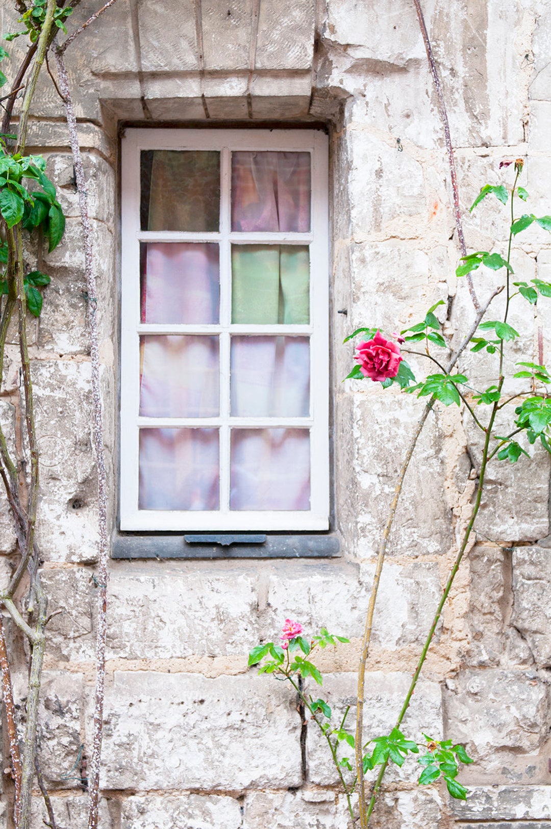 French Country Photography, Cottage Window, Romantic Home Decor, Fine ...