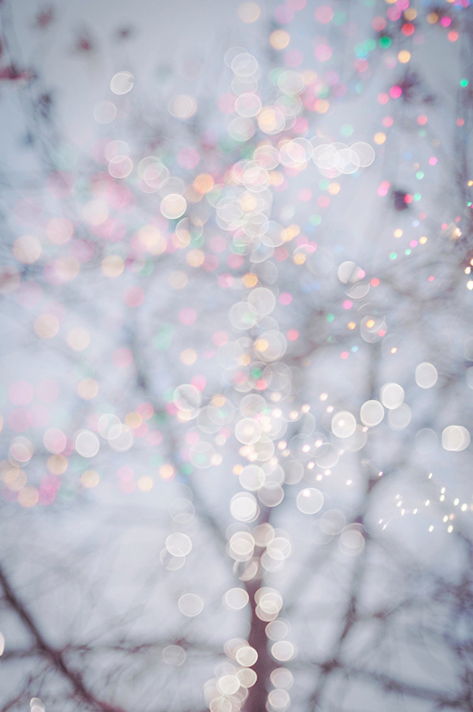 Winter Photography Fairy Lights, Festive Winter Scene, Fine Art ...