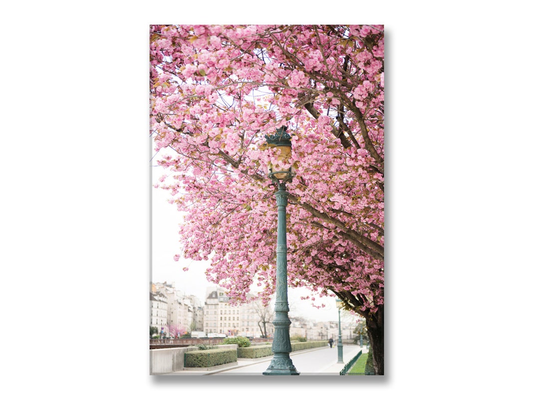 Spring in Paris Photo on Canvas, Fine Art Gallery Wrapped Canvas, Large ...
