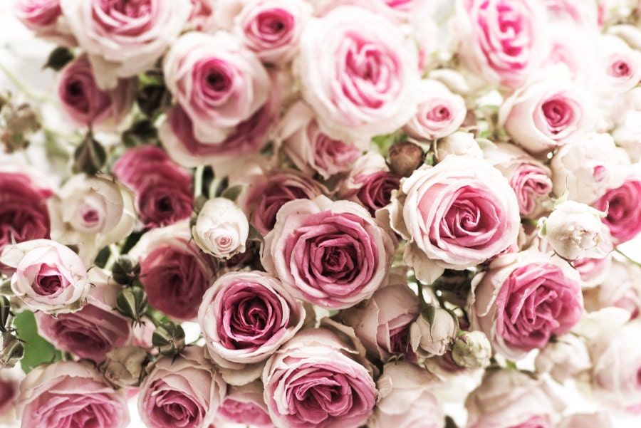 Paris Photograph - Roses in Paris Flower Shop, Romantic French Home ...