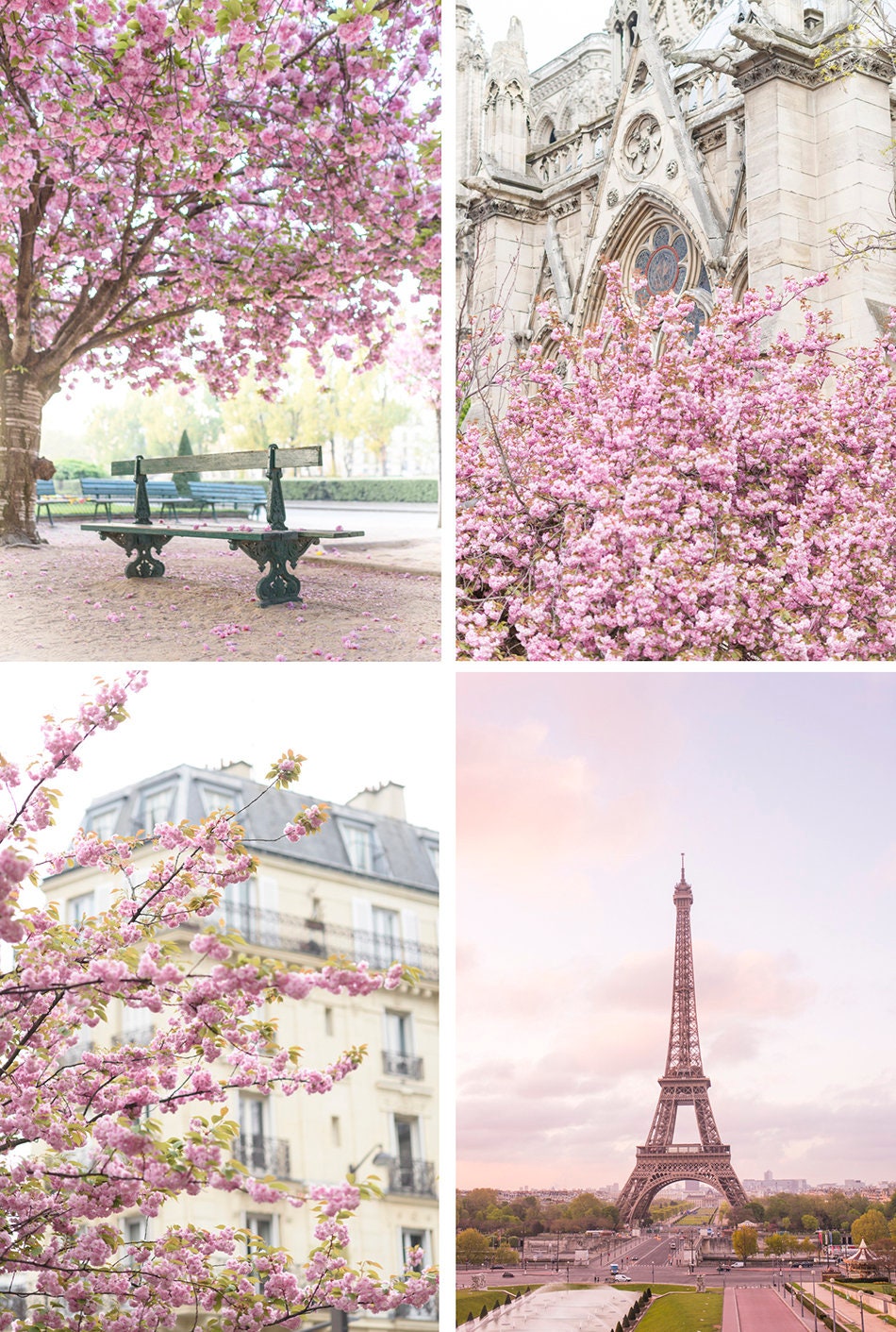 Paris Fine Art Photography Collection April in Paris Print | Etsy