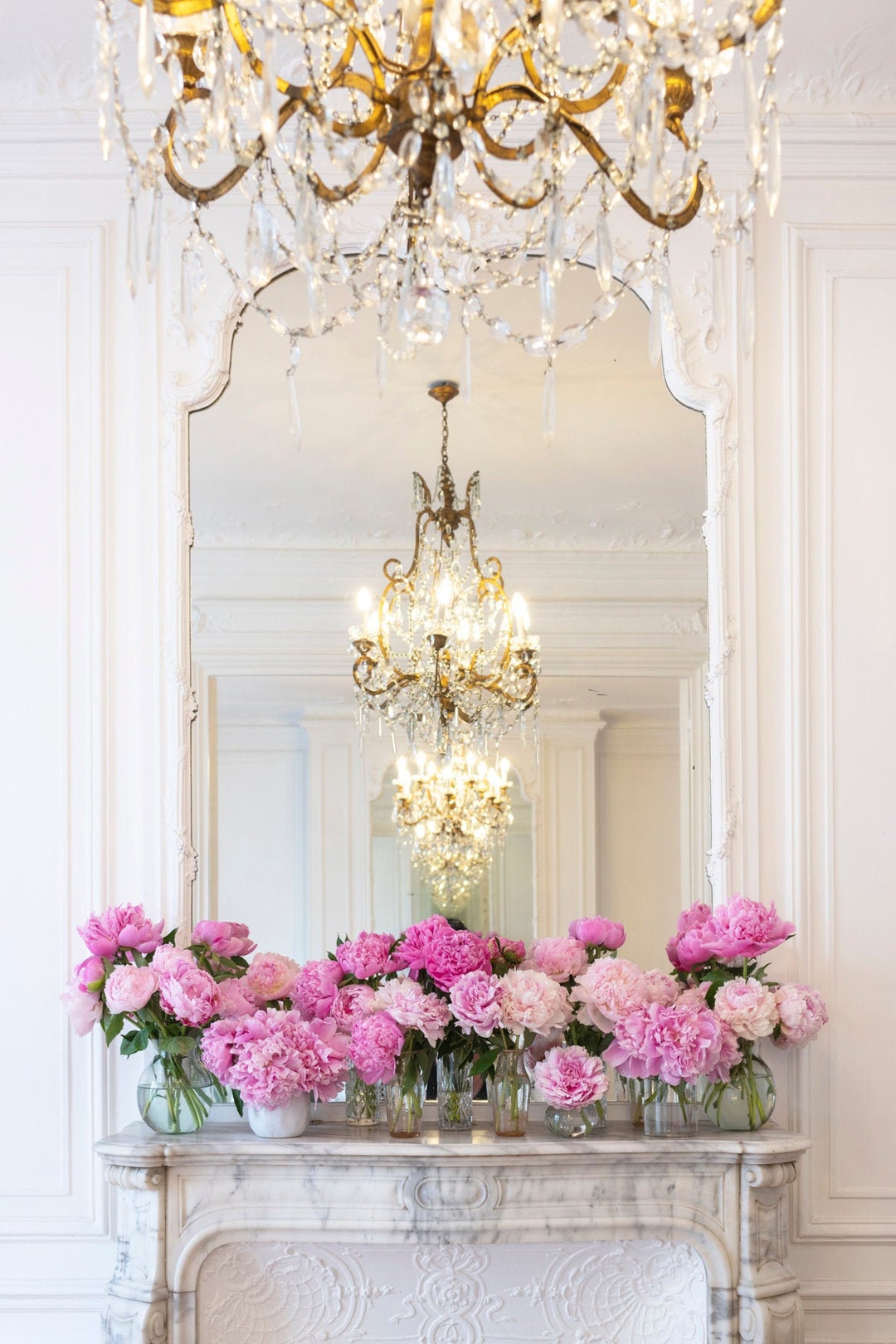 Paris Peony Photograph - Peonies in a Paris Apartment, Large Wall Art ...