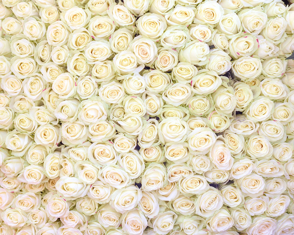 Paris Photograph White Roses at the Marche Paris in Spring | Etsy