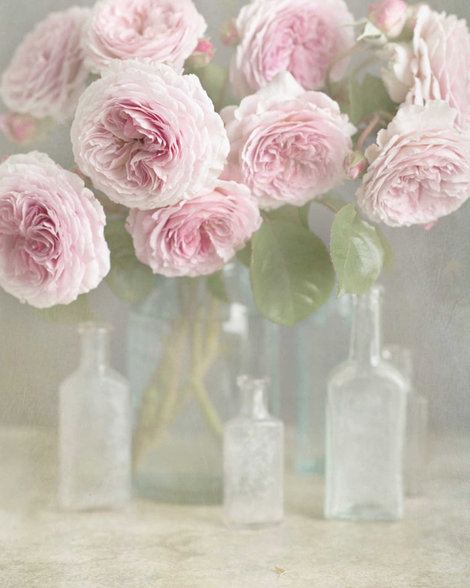 Rose Photography, Fine Art Photograph, English Roses, Romantic Decor ...