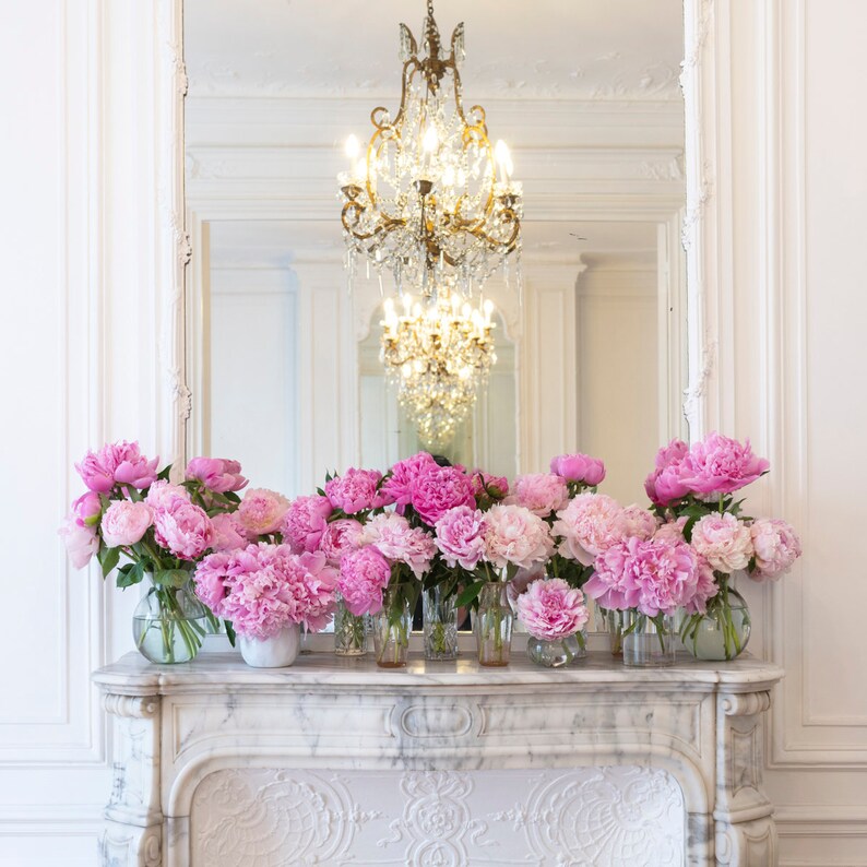 Paris Peony Photograph Peonies in a Paris Apartment Large - Etsy