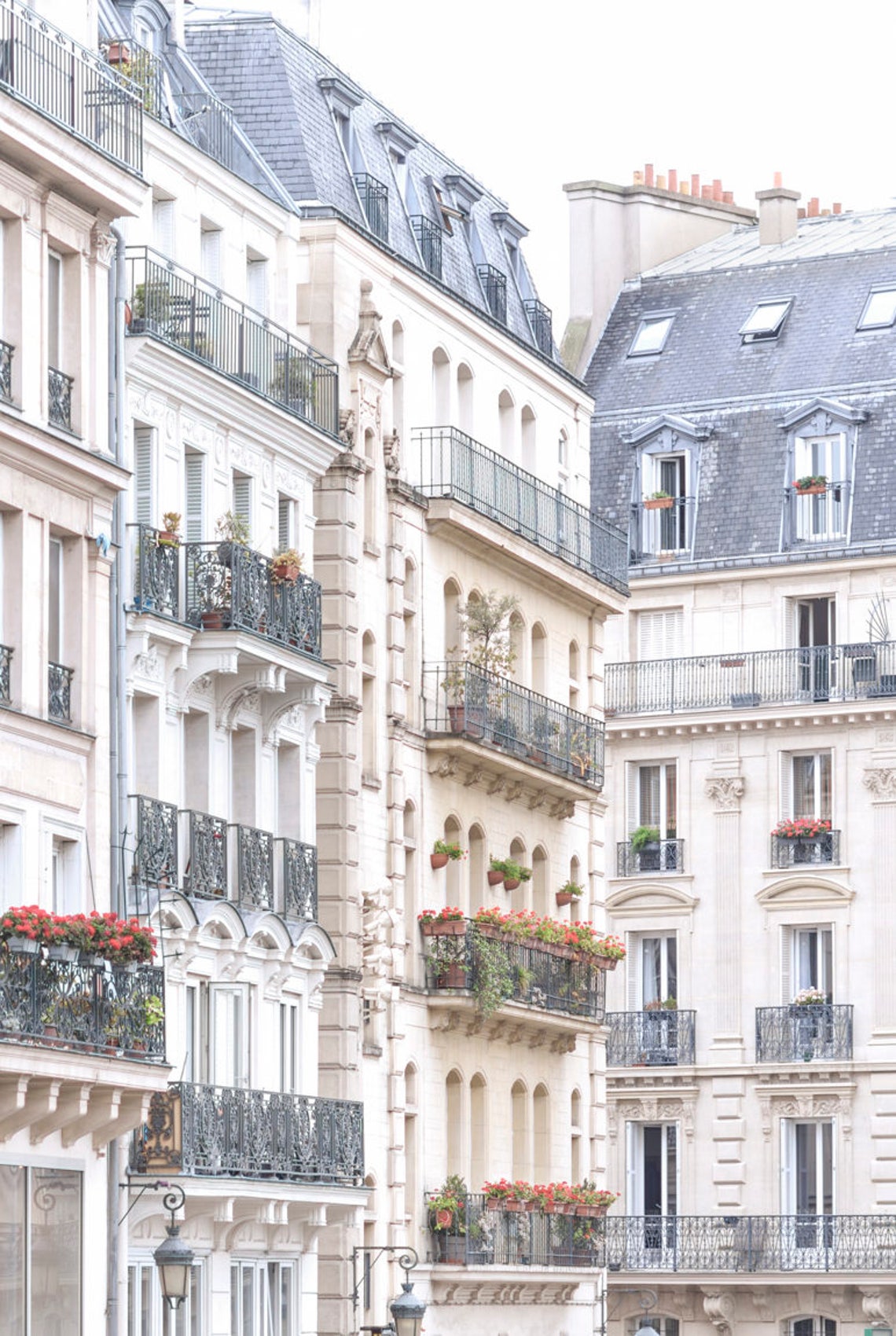 Paris Architecture Photograph Window Boxes and Lamp Posts - Etsy