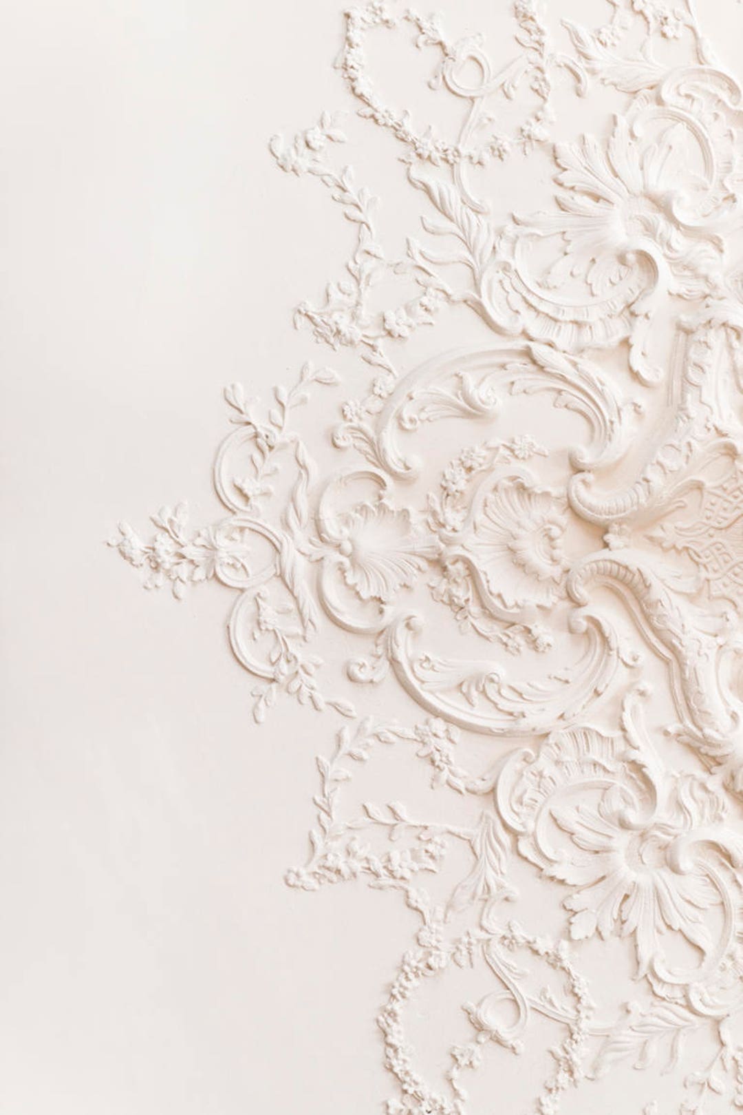 Paris Photograph - the Lacework Ceiling, Paris Architecture Detail ...
