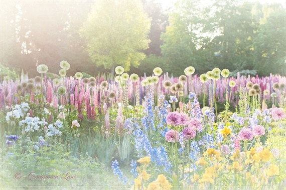 Magical Flower Garden