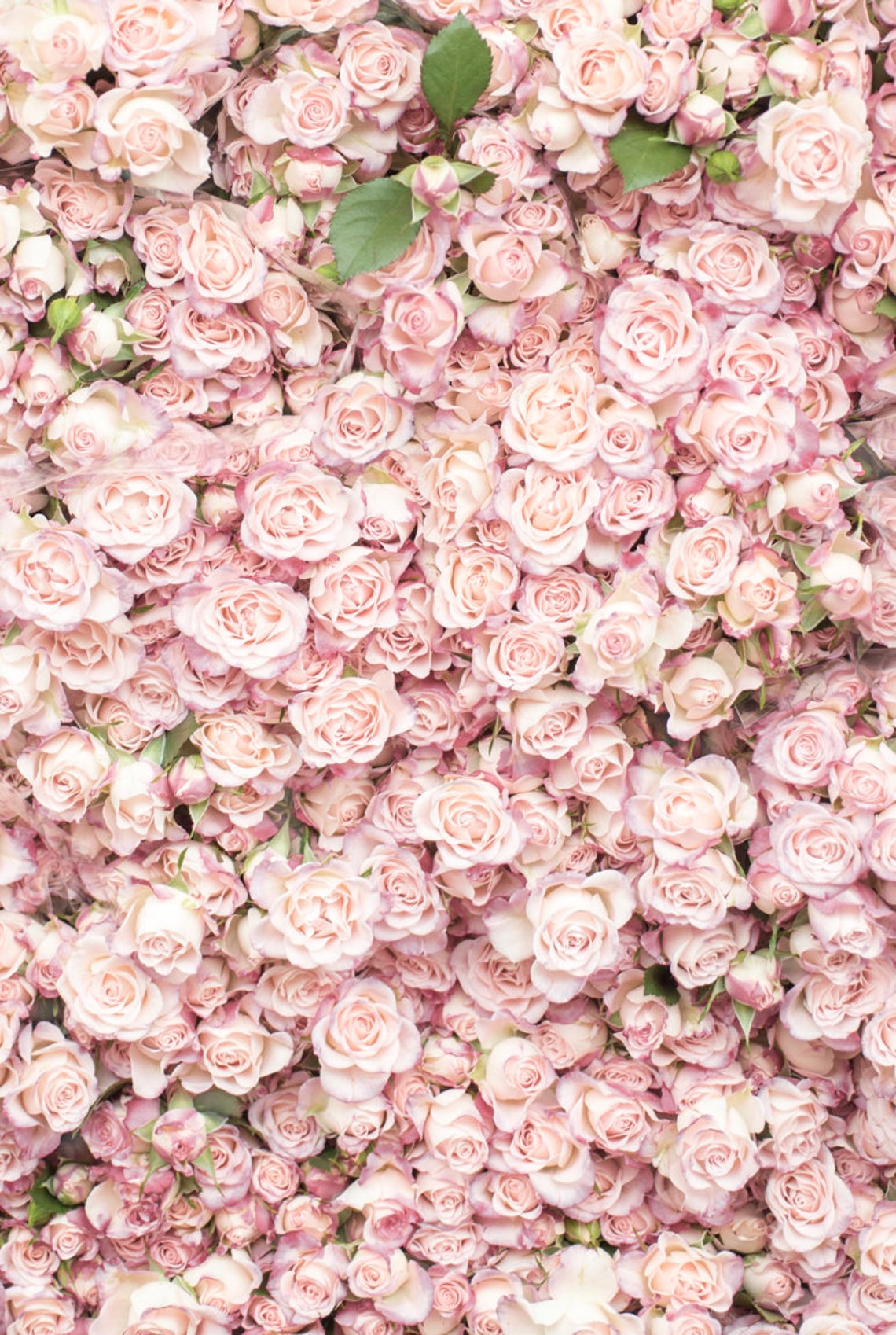Paris Photograph - Flower Wall at the Sunday Market, Paris Flower ...