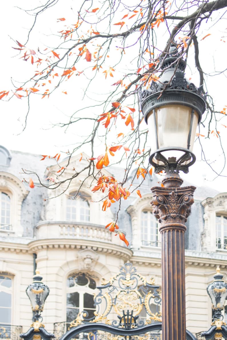 Paris Photography Autumn Farewell in Paris Autumn Leaves - Etsy Canada