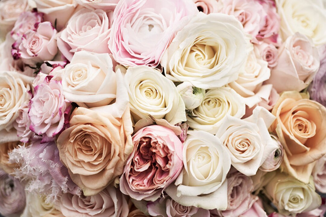 Paris Flower Photograph - A Parisian Bouquet, Roses and Ranunculus ...