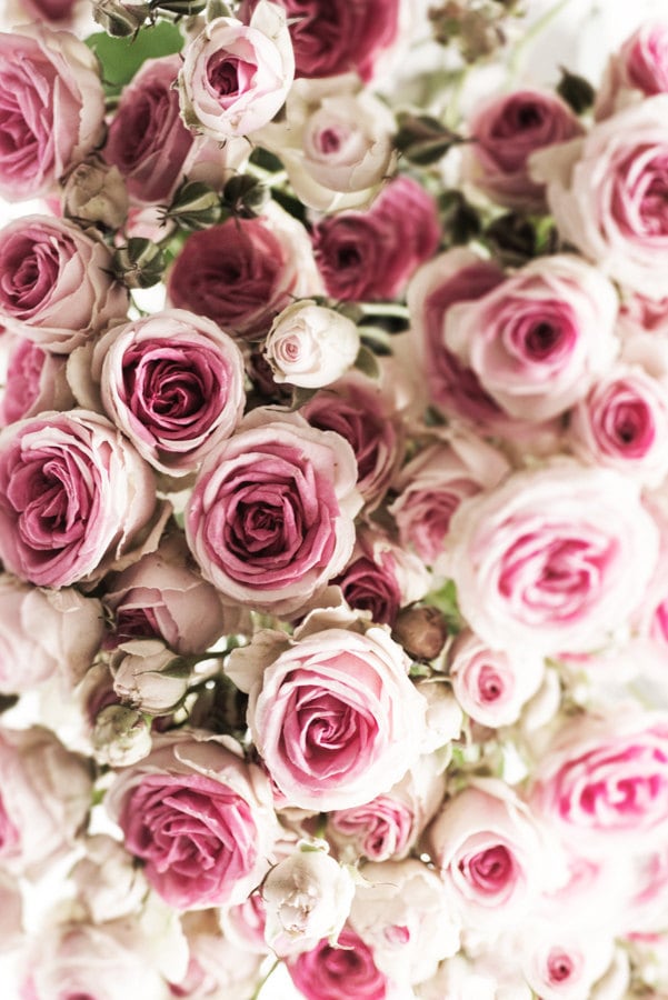 Paris Photograph - Roses in Paris Flower Shop, Romantic French Home ...