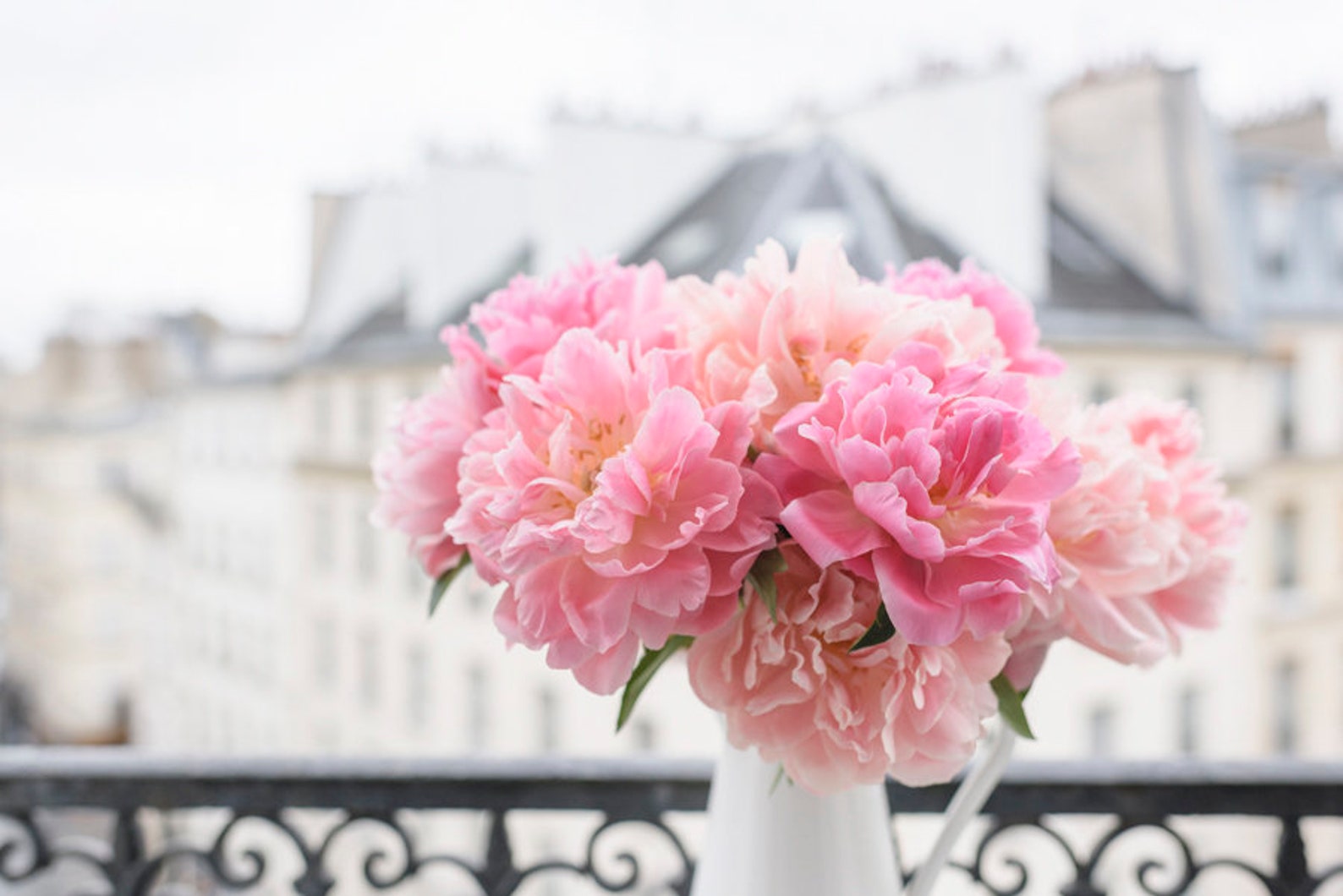 Paris Photograph Peonies on a Paris Balcony Paris Flowers - Etsy
