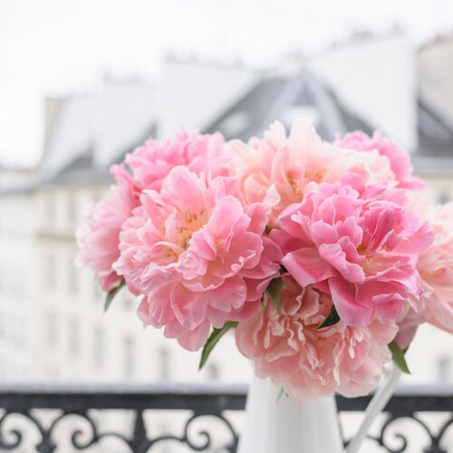 Paris Photograph Peonies on a Paris Balcony Paris Flowers - Etsy