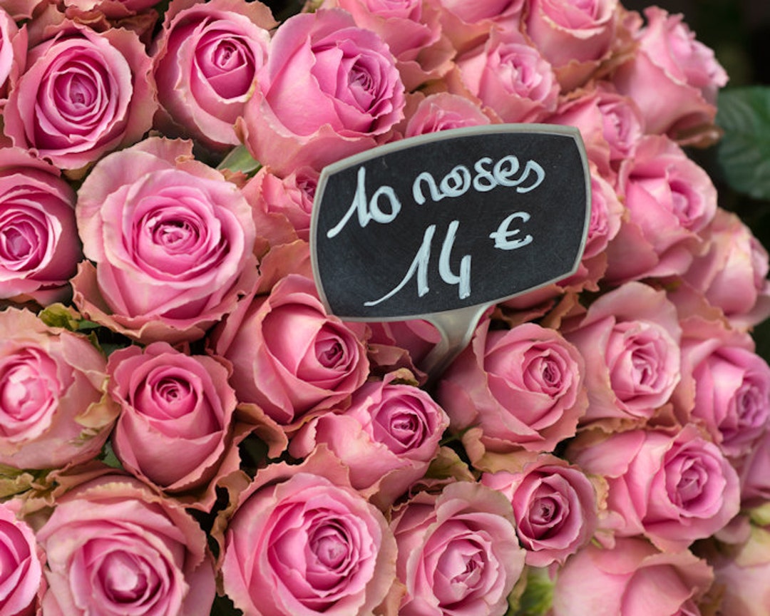 Paris Roses Photography - Pink Roses in Parisian Flower Market, France ...