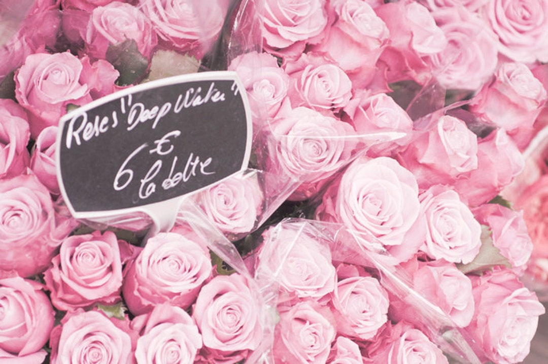 Paris Photo - Roses, Roses - Bouquet of Pink Roses in Parisian Flower ...
