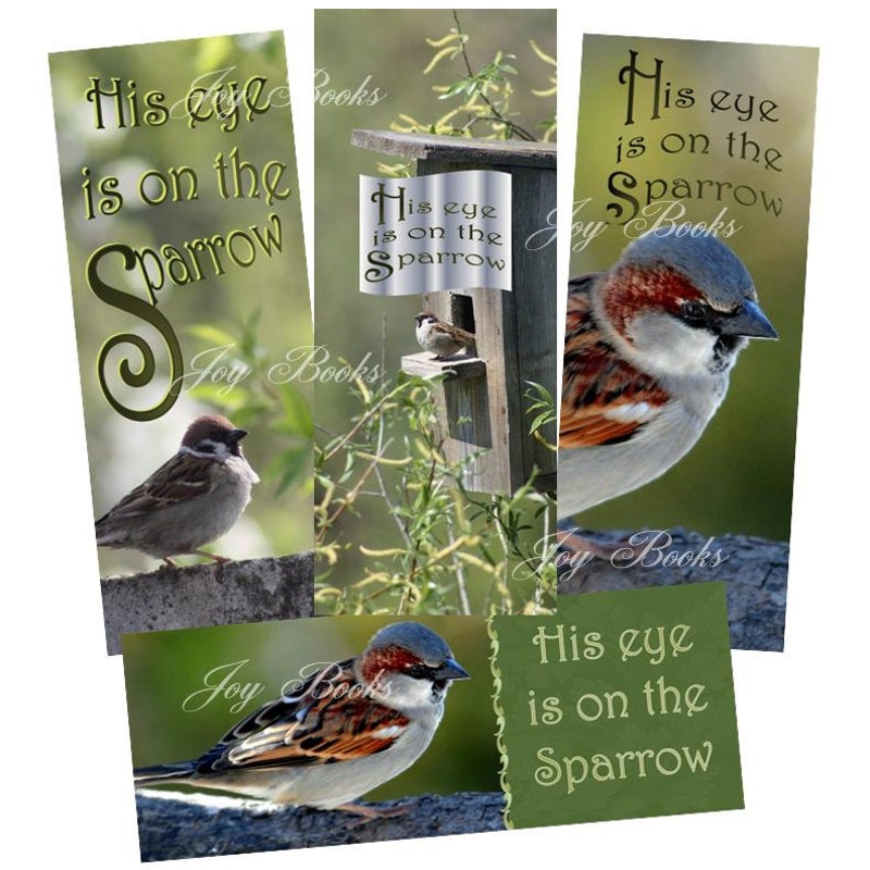 Bird Eye Books - Etsy