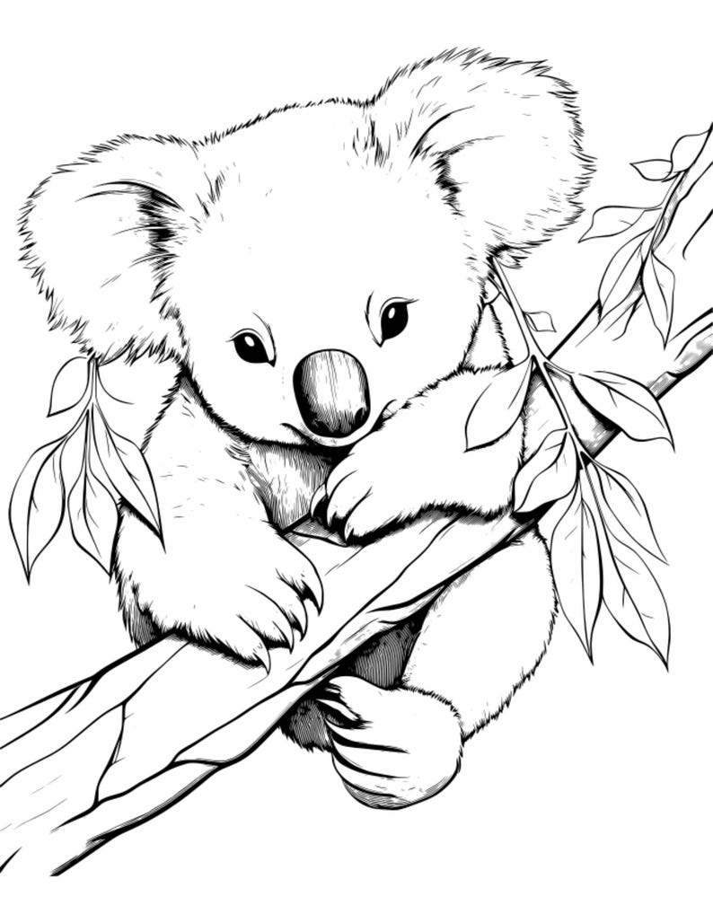 Cute Koala Coloring Pages for Kids - Etsy