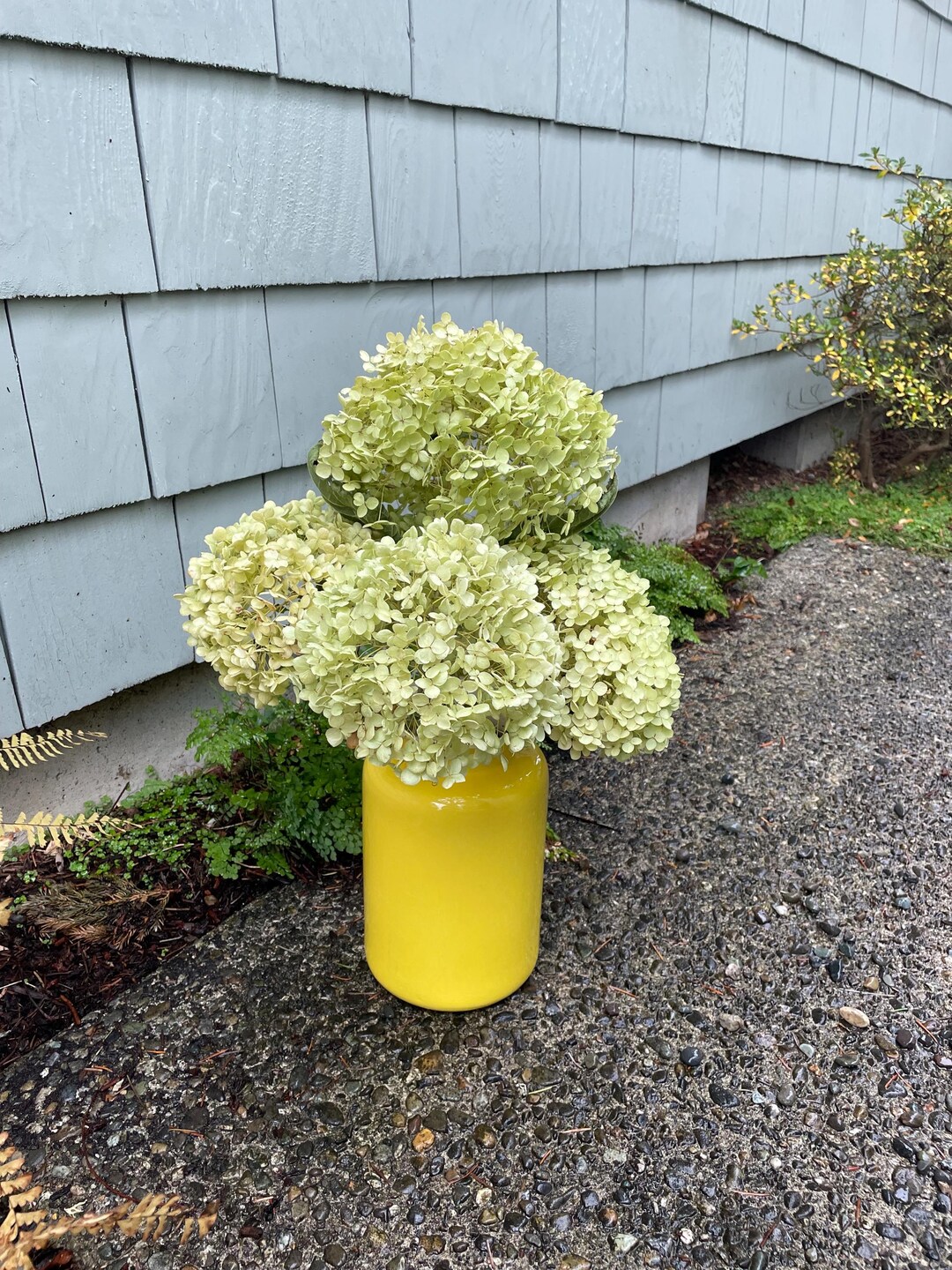 Dried Limelight Hydrangea Bouquet - Etsy