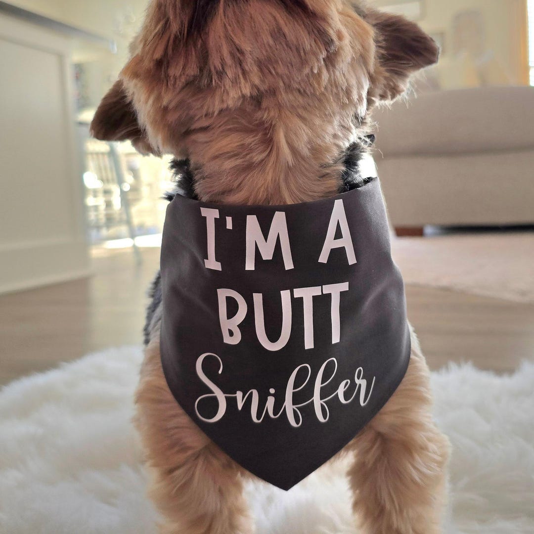 Butt Sniffer Dog Bandana, Funny Dog Bandana, Tie on Bandana, Double Layer, Pet Accessory, Gag ...