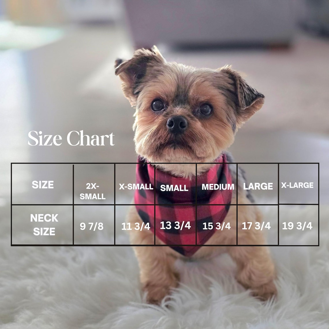 Mom Said Yes Dog Bandana, Engagement Announcement, Bandana for Wedding ...