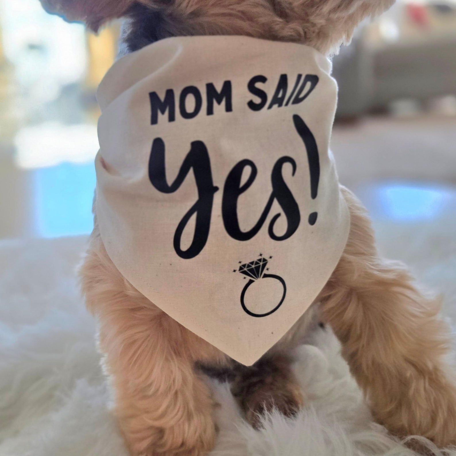 Mom Said Yes Dog Bandana, Engagement Announcement, Pet Scarf for ...