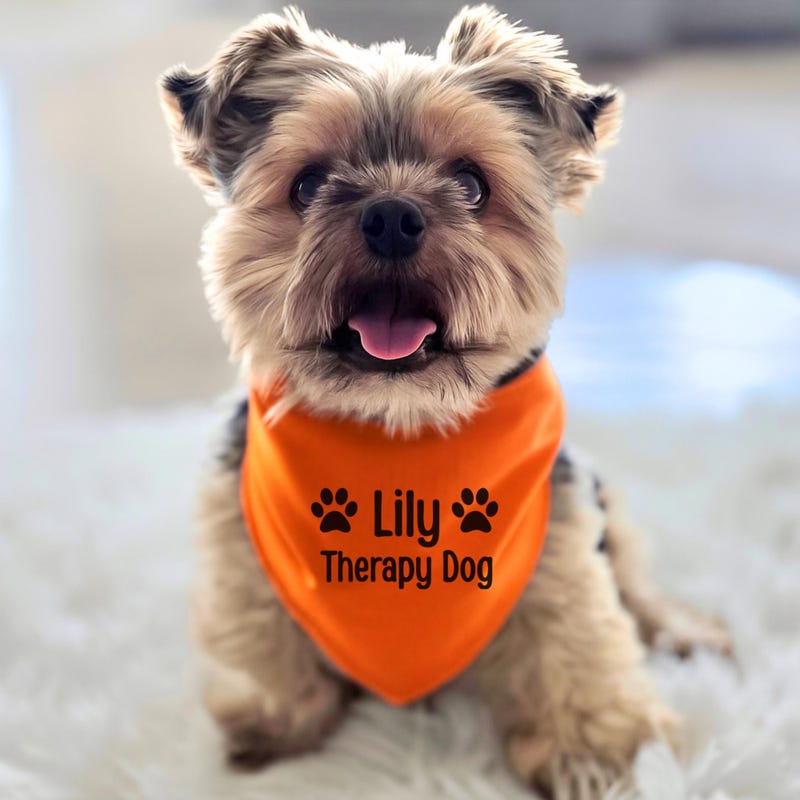 Therapy Dog Bandana - Etsy