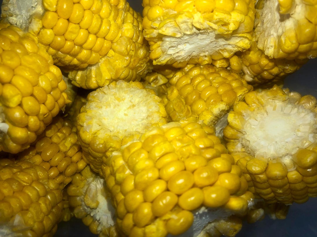 Freeze Dried Corn Cob, Freeze Dried Corn Wheels Bucket, Small Pet ...