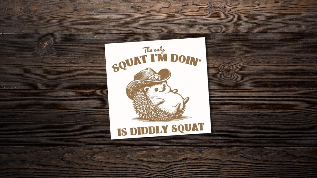 The Only Squat I'm Doin is Diddly Squat Sticker, Motivational Sticker ...