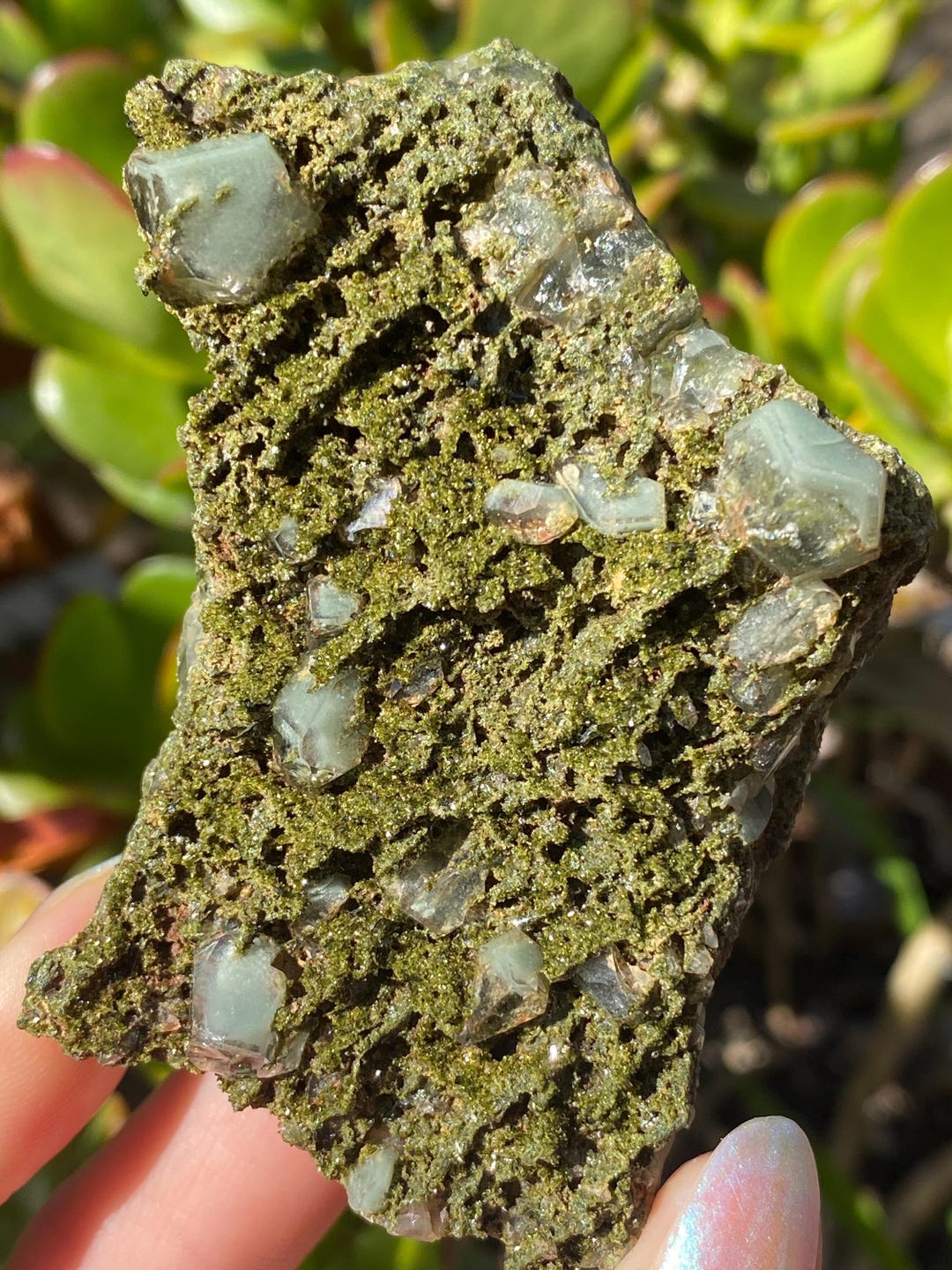 Forest Epidote AA Grade Turkish Epidote Crystal Mineral Specimen - Etsy