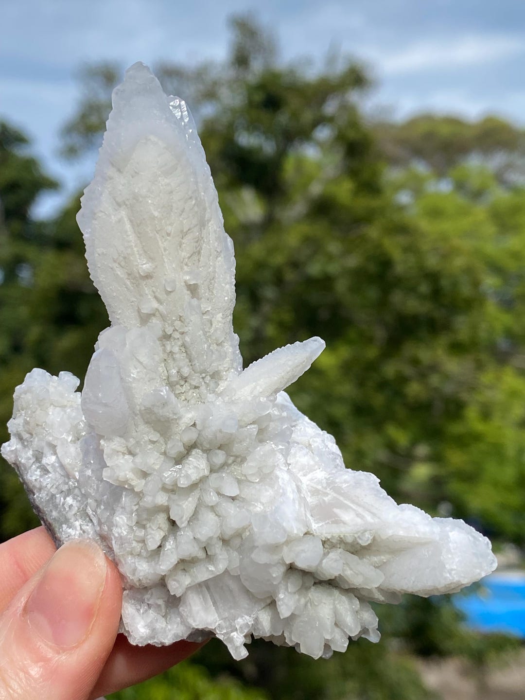 Feather Calcite Crystal Pearl White High Luster Gemmy Mineral Specimen ...