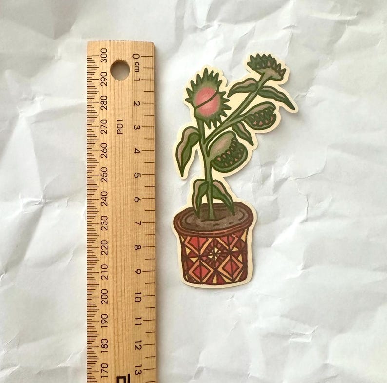 Venus Fly Trap Sticker: Glossy Laminated Vinyl Plant Art - Etsy Australia