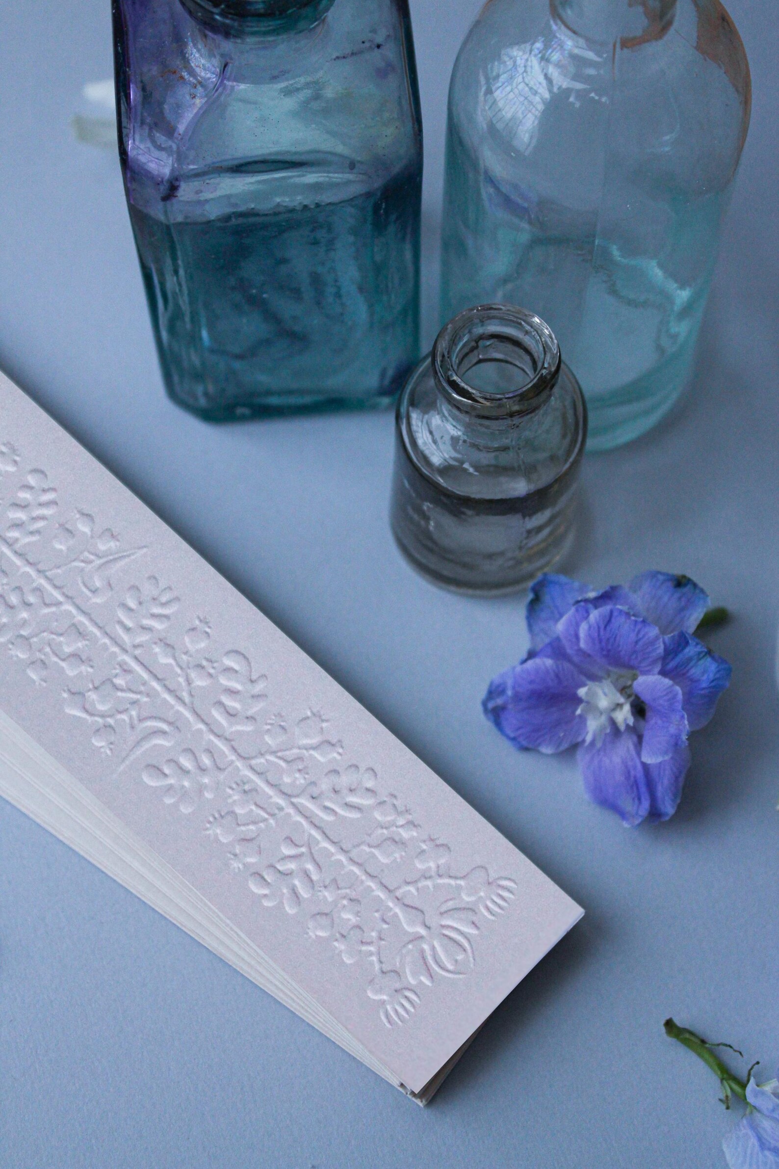 Original Plants & Beetles Bookmarks (white on White, Blind Embossing ...